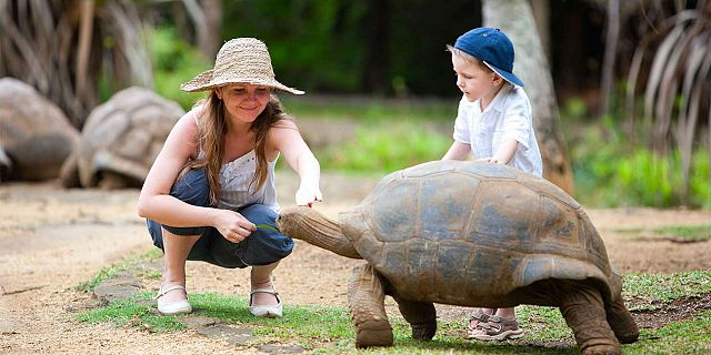 4-children-play-giant-tortoises-mauritius - Živeti sa prirodom